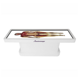 Anatomy Imaging Systems: Anatomage Table Classic – The Revolutionary ...